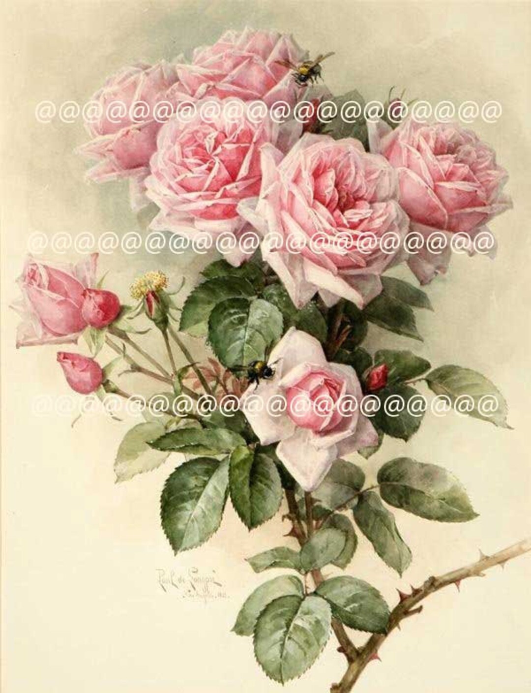 Decorative Vintage Paper Vintage Rose Decoupage Paper This is Not ...