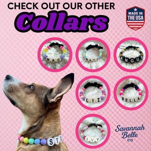 Personalized F1 Racing Dog Collar: Custom Beaded Name Necklace ...