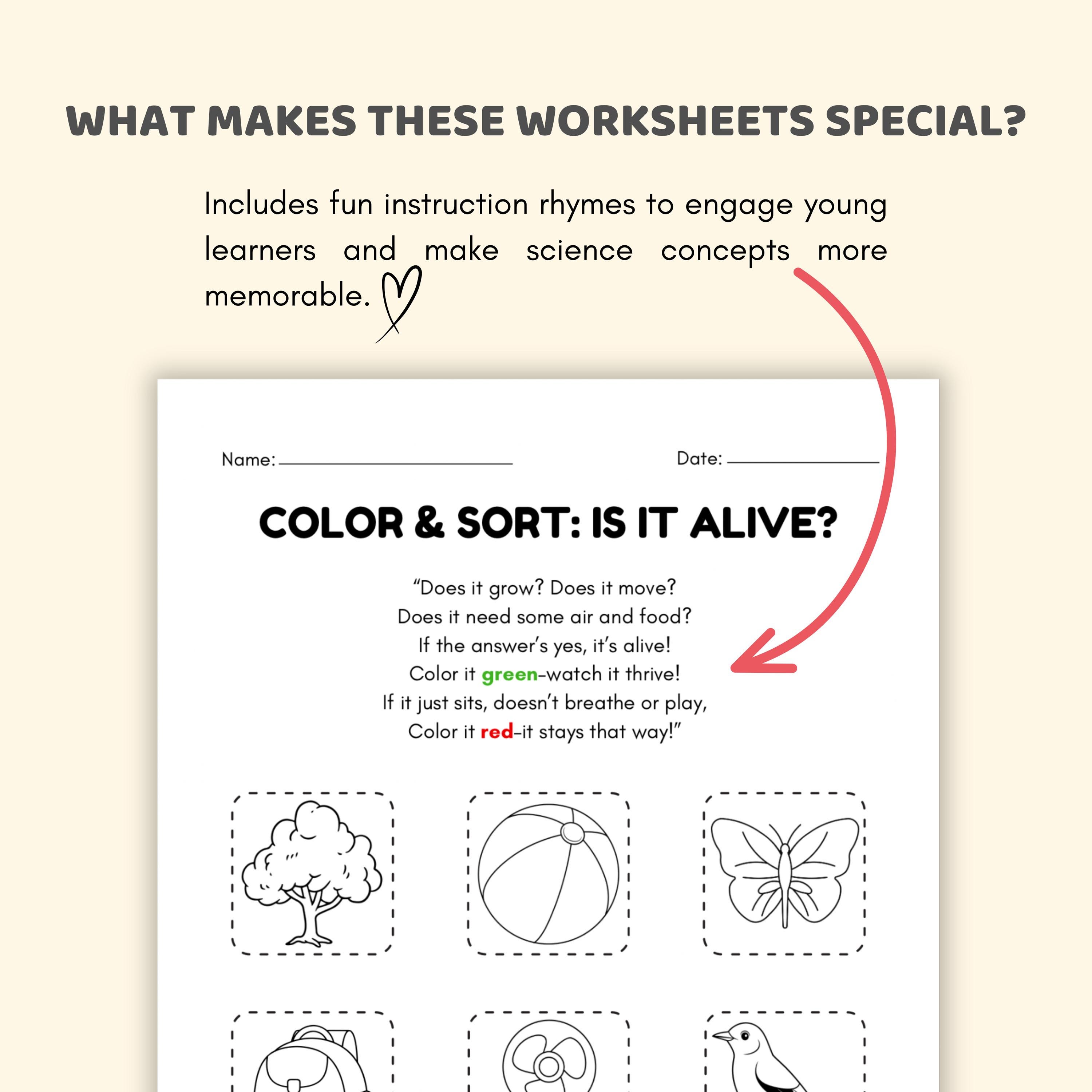 Science Worksheets for Kindergarten to Grade 1 | Kindergarten ...
