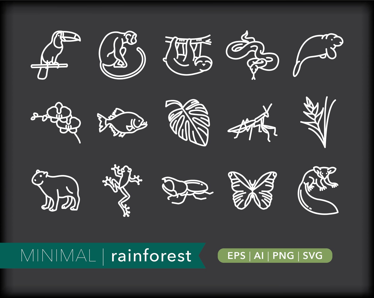 Rain Forest Icons Animal Icon Illustrations EPS AI PNG | Etsy
