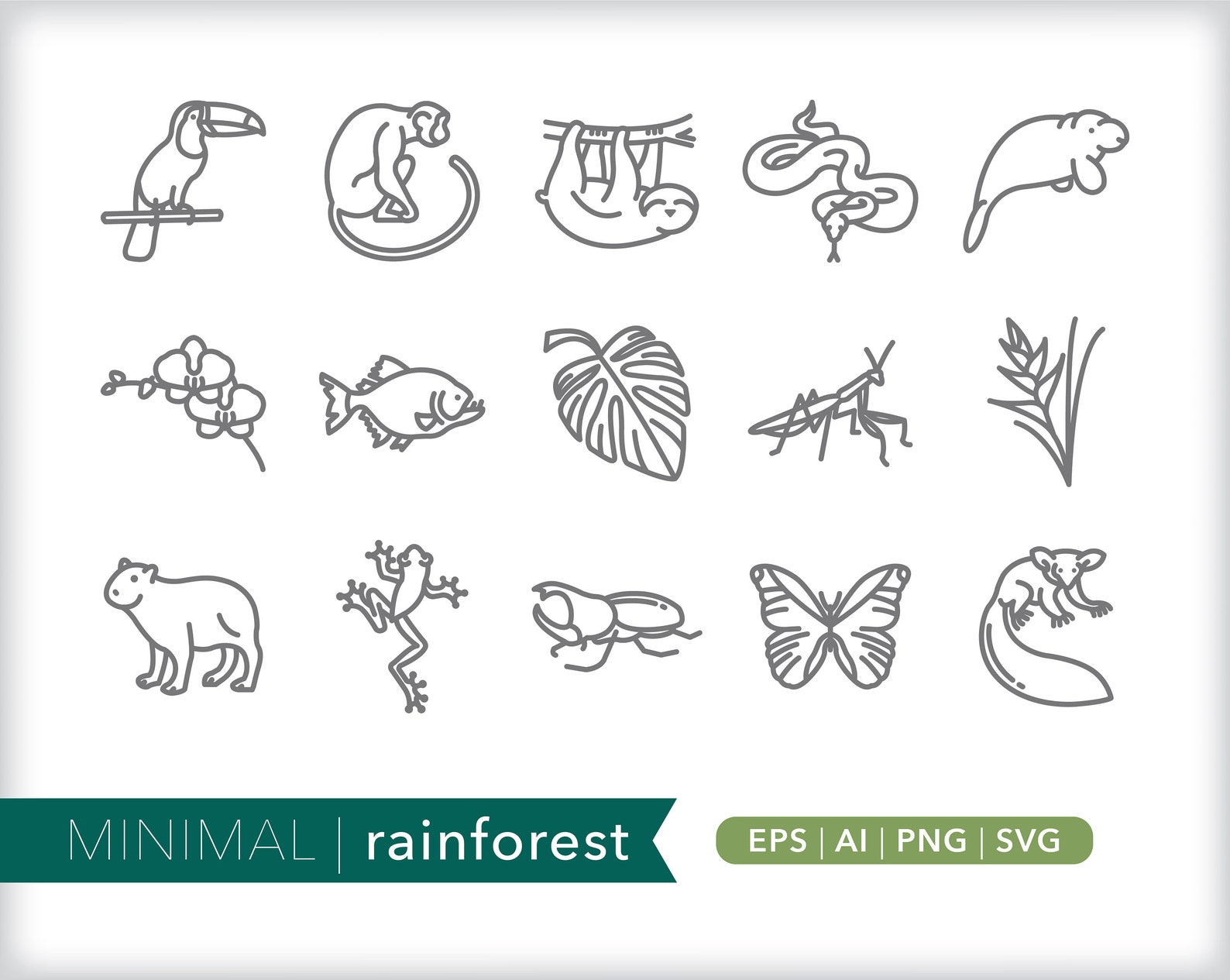 Rain Forest Icons Animal Icon Illustrations EPS AI PNG | Etsy