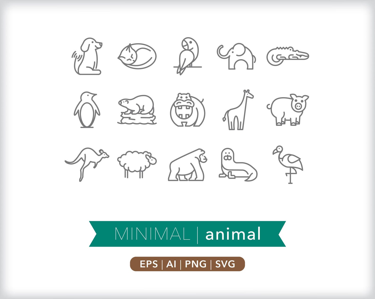 Zoo Animal Icons: SVG, AI, PNG (digital Download) - Etsy