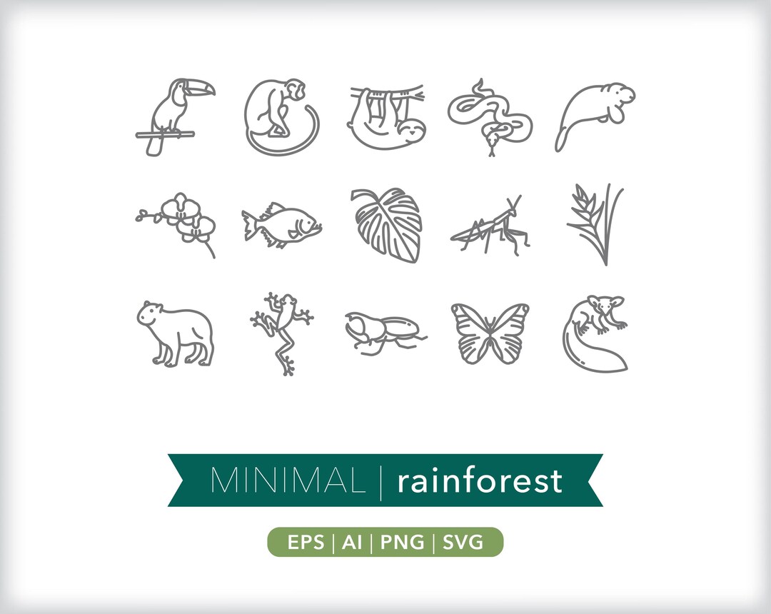Rainforest Animal Icons: SVG, AI, PNG (digital Download) - Etsy