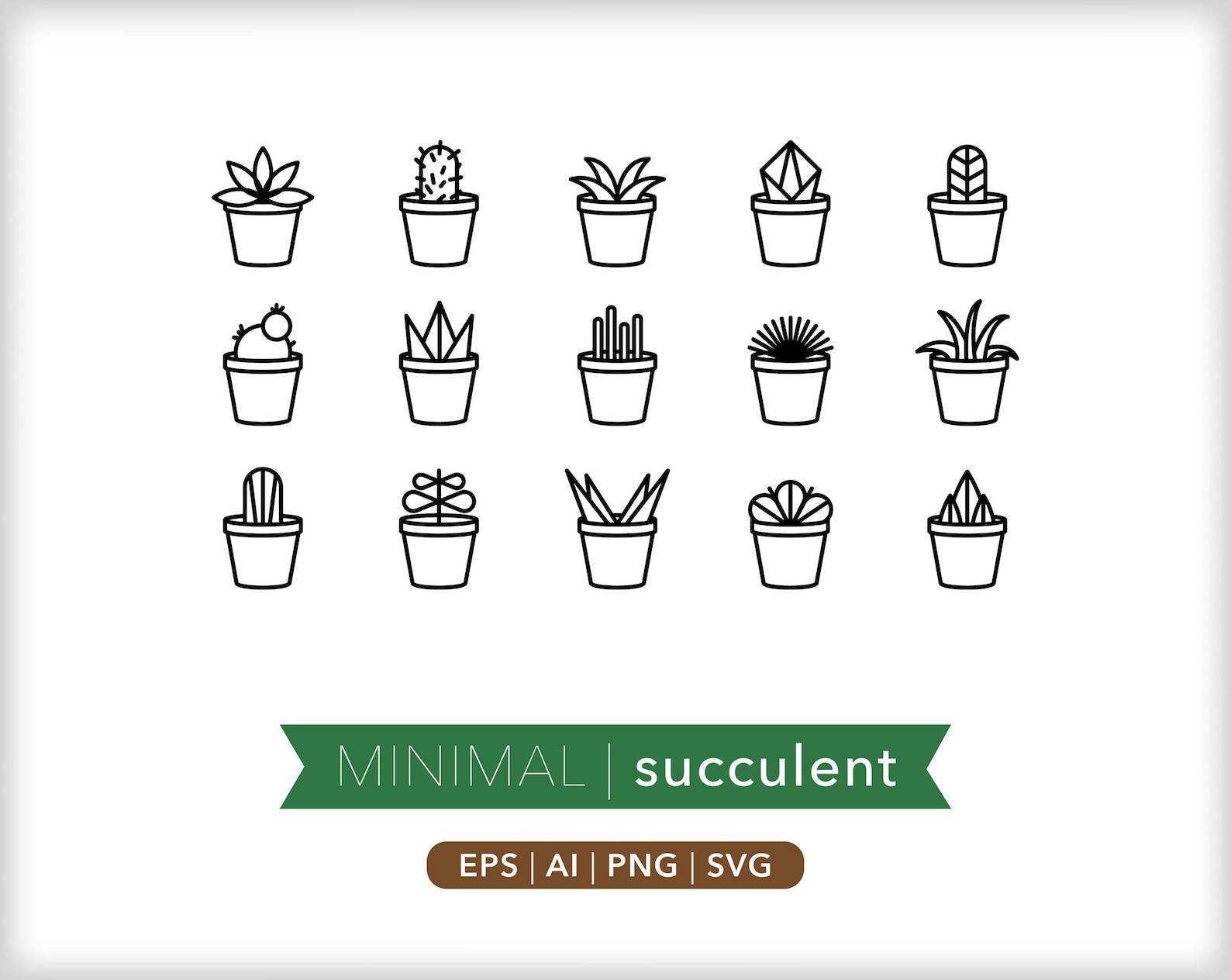 Succulent Icon Set: Plant Illustrations, SVG, AI, PNG (digital Download ...