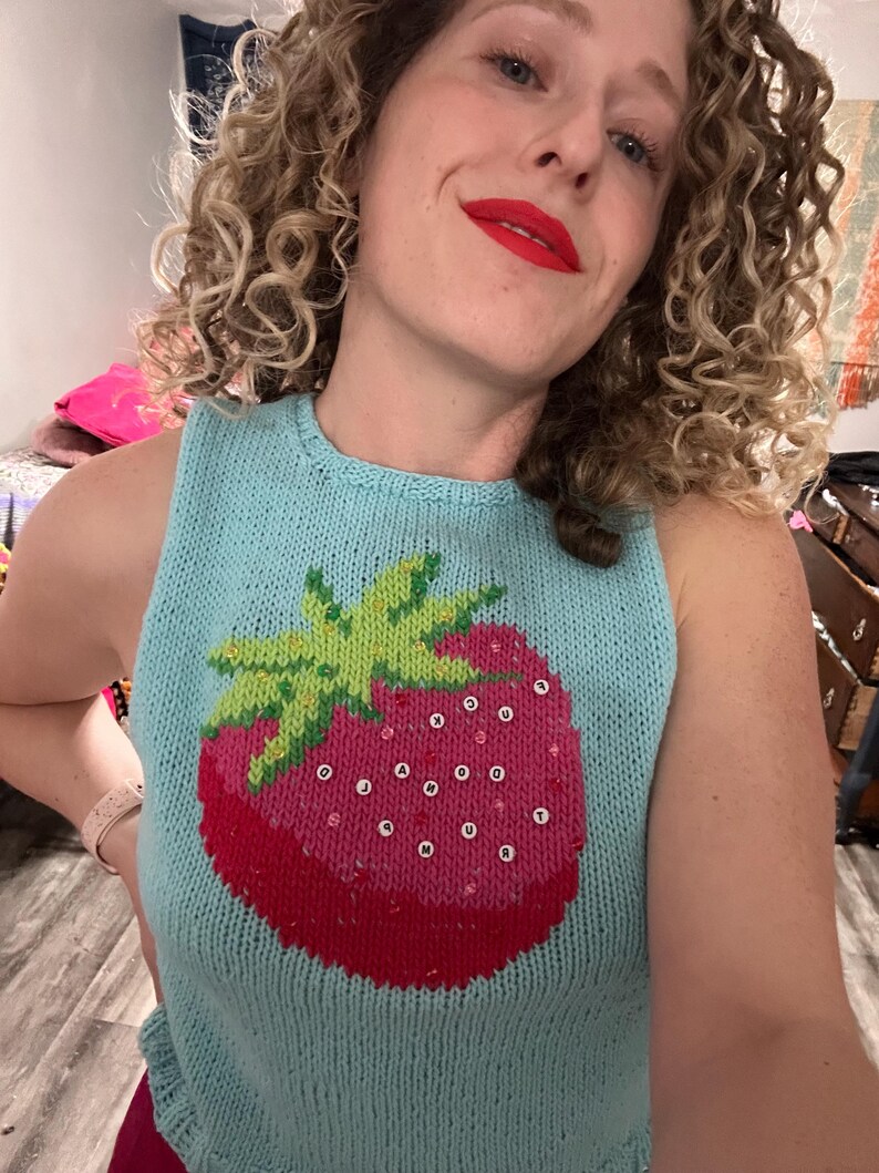 Strawberry Intarsia or Duplicate Stitch Knitting Chart - Etsy