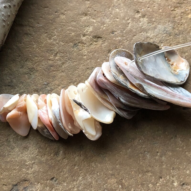 Drilled Seashells - Etsy