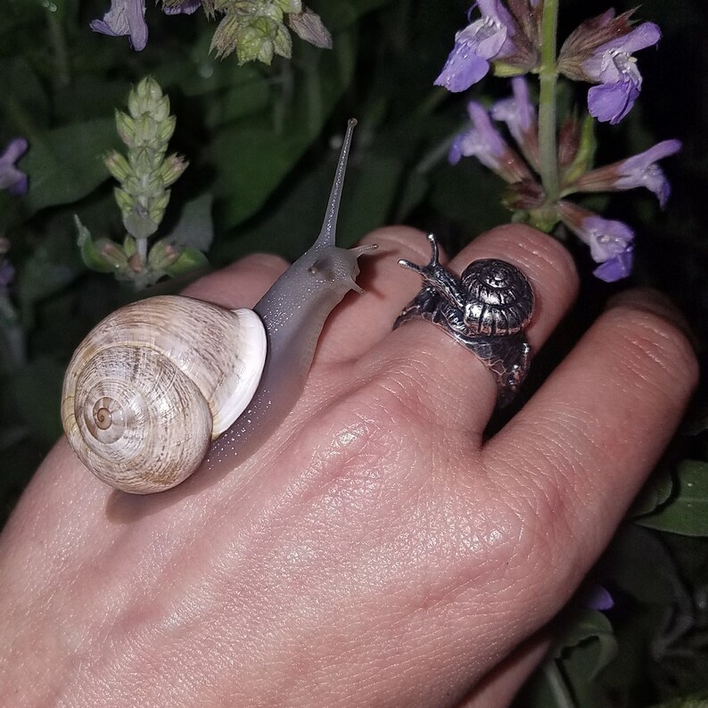 Snail Ring Sterling Silver Garden Creature Ring Jamie | Etsy