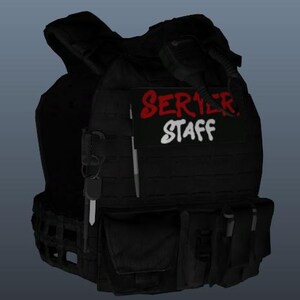 Staff Vest Fivem - Etsy