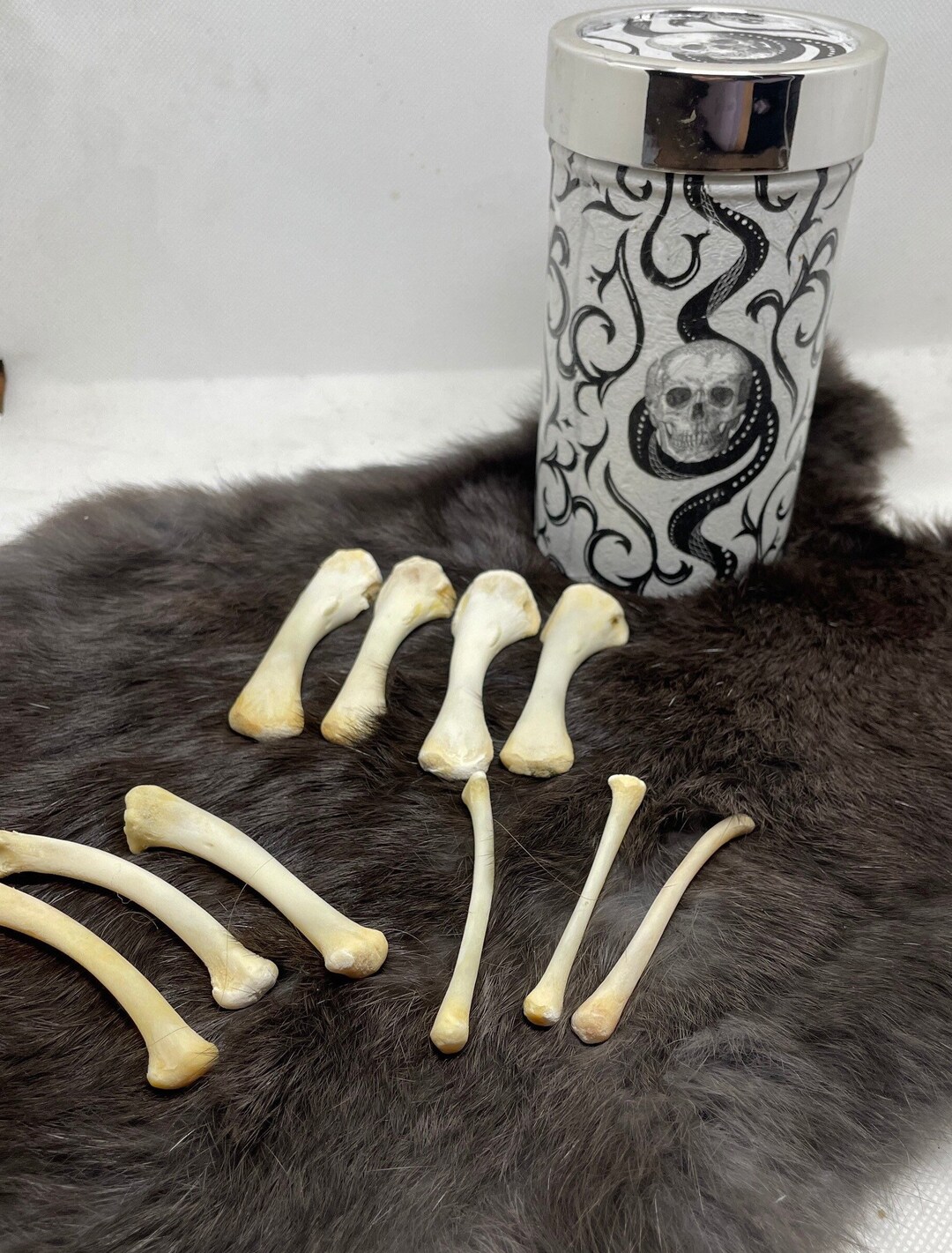 Bone Throwing Set Skull Tribal Decoupage Glass Jar With Black Rabbit Fur Pelt and 10 Chicken ...
