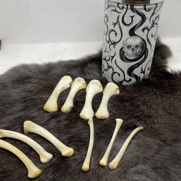 Voodoo Chicken Bones - Etsy