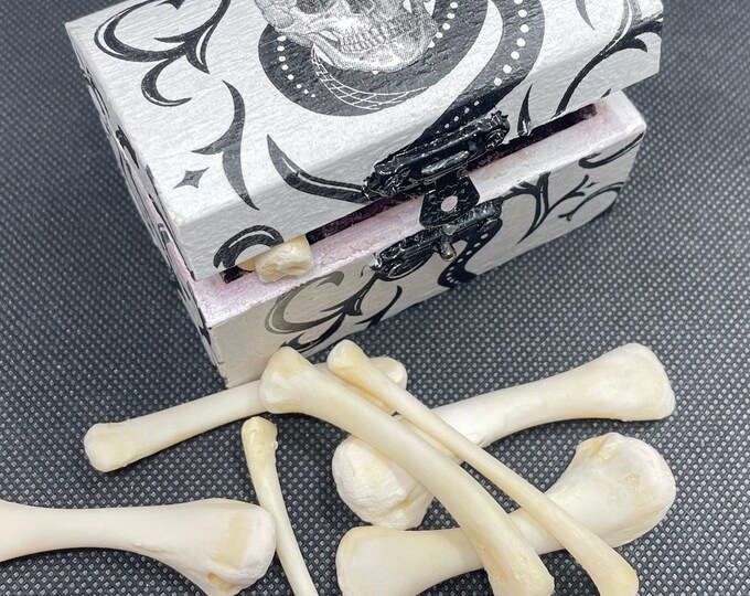 Bone Throwing Set 10 Chicken Bones With Skull and Serpent Wooden Box With Velvet Lining Voodoo ...