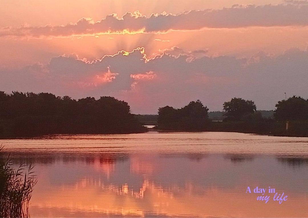 A Day in My Life Poster - Etsy