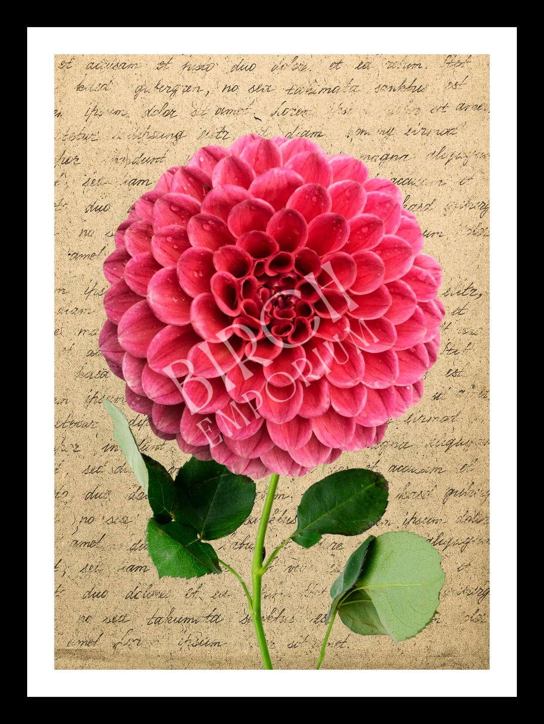 Pink Dahlia, Digital Art Print, Wall Art, Printable Art, Digital ...