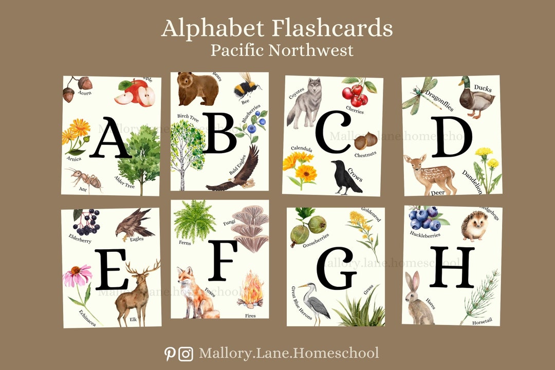Alphabet Flashcards | Pacific Northwest Forest | Homeschool - Etsy
