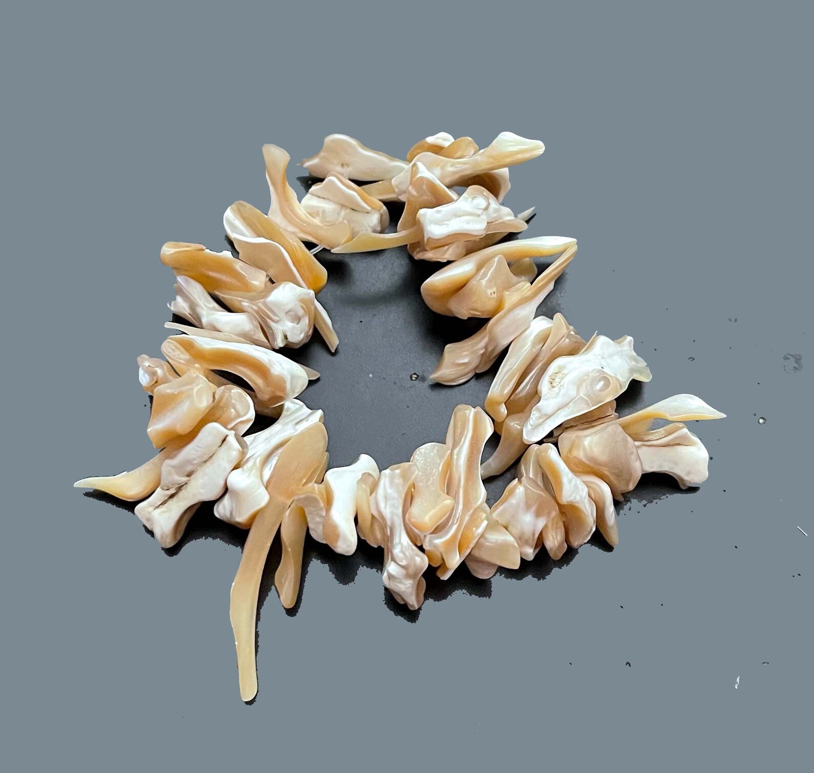 Natural Beige Untamed MOP Sea Ocean Shell Stick Branch Irregular Beads ...