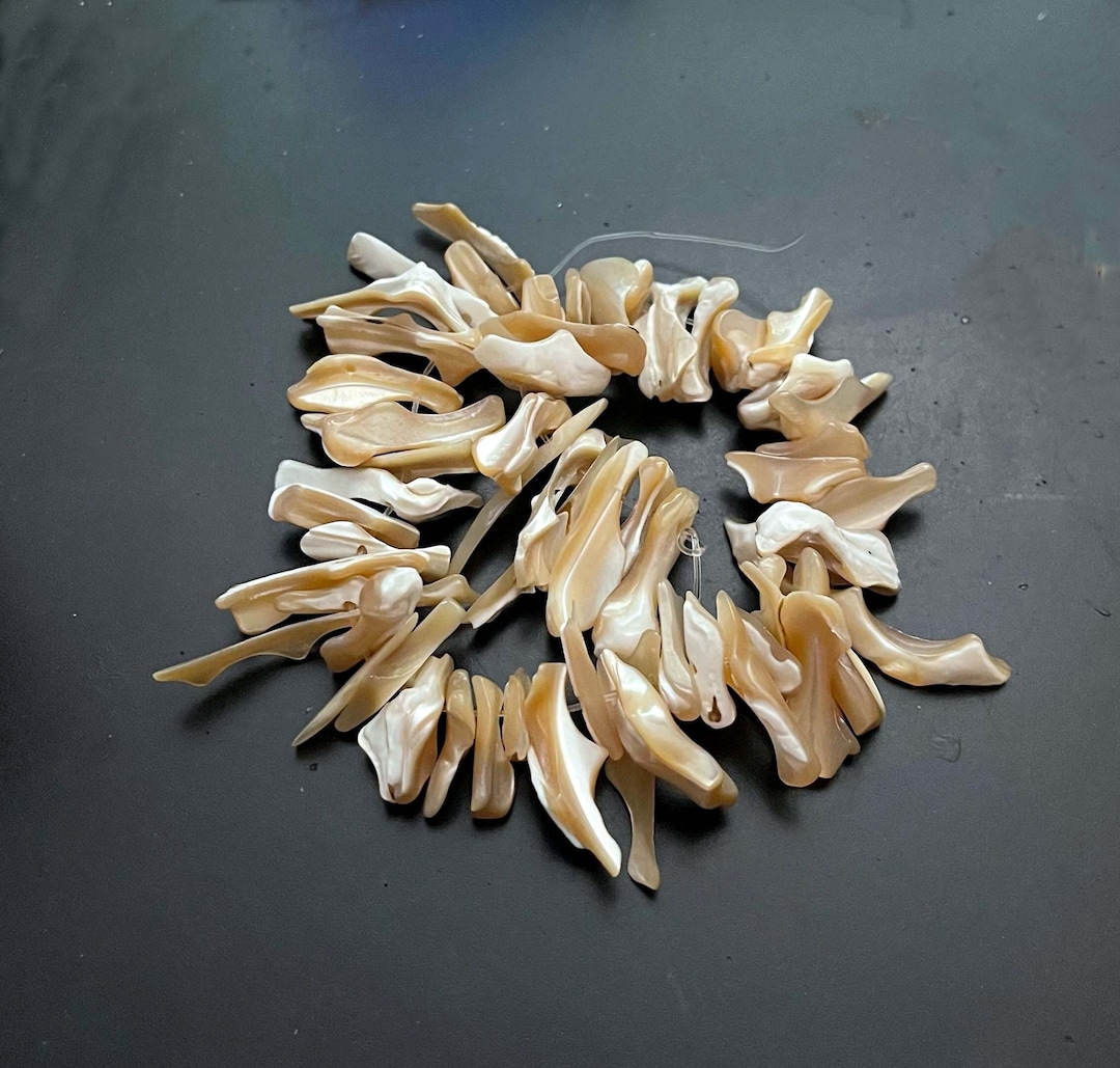 Natural Beige Untamed MOP Sea Ocean Shell Stick Branch Irregular Beads ...