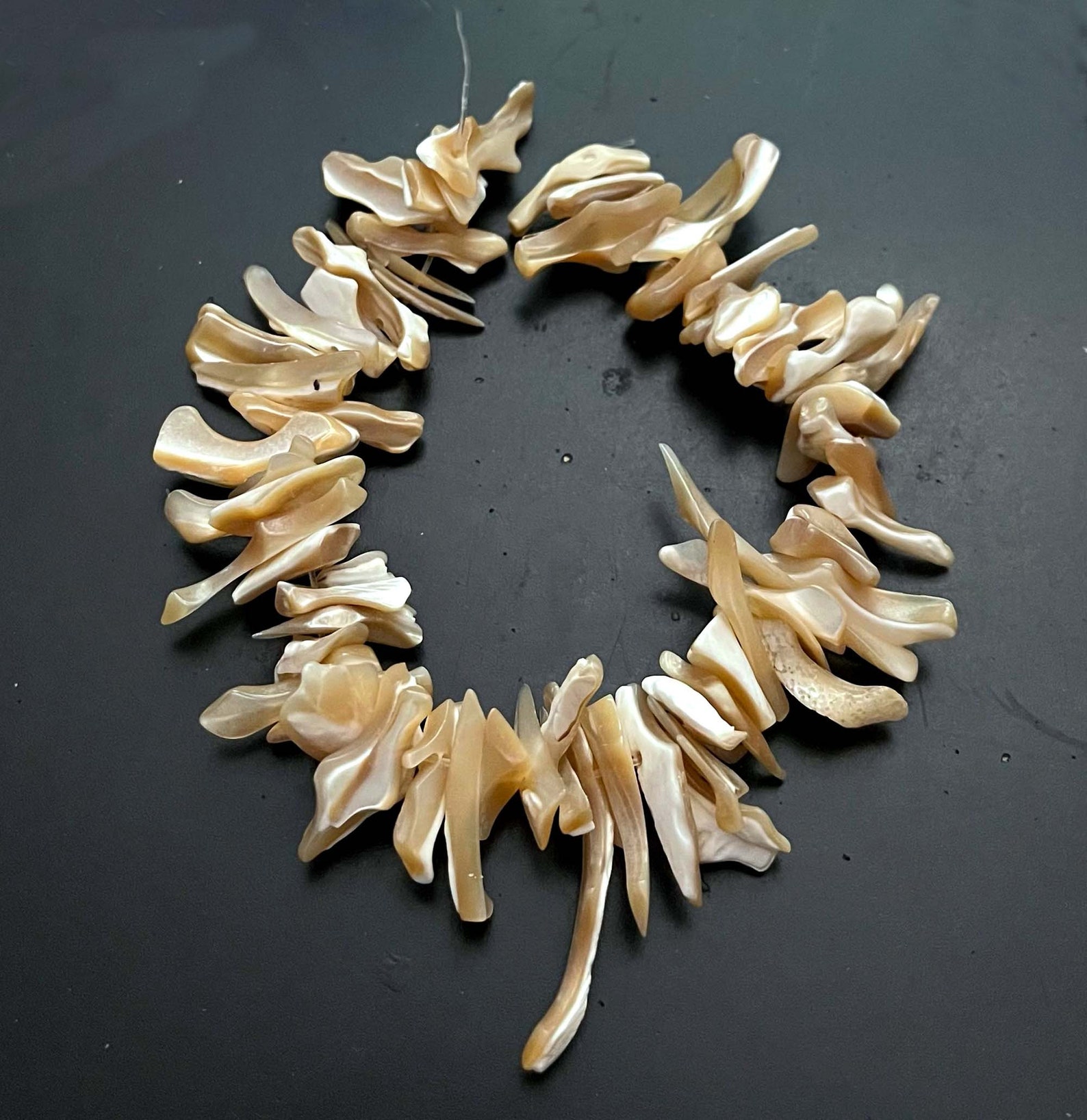 Natural Beige Untamed MOP Sea Ocean Shell Stick Branch Irregular Beads ...