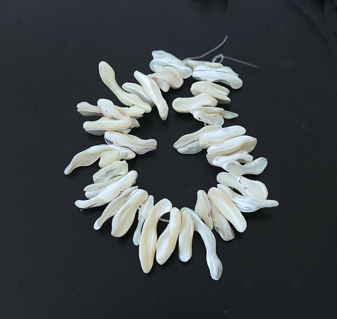 Natural White Untamed MOP Sea Ocean Shell Stick Branch Irregular Beads ...