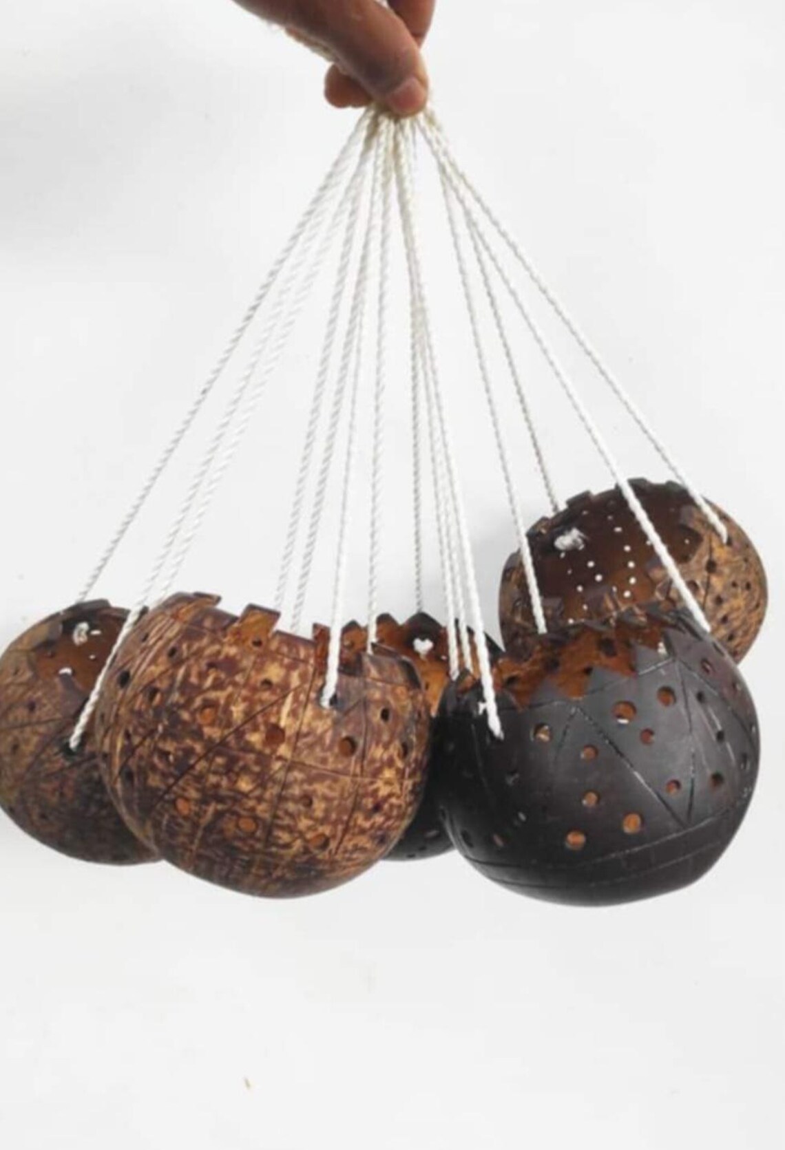 Tropical Serenity: Handcrafted Coconut Shell Night Lamp - Etsy