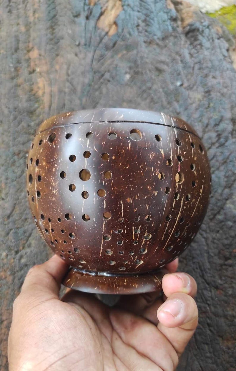 Tropical Serenity: Handcrafted Coconut Shell Night Lamp - Etsy