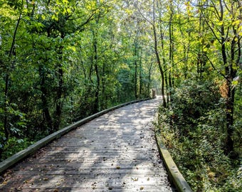 South County Trail Rolling Hills Digital Print - Etsy