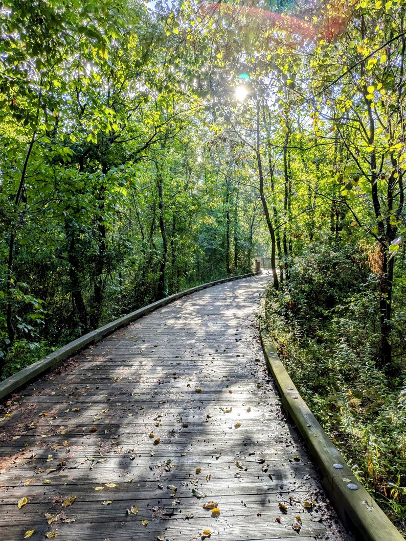 South County Trail Walkway Digital Print - Etsy