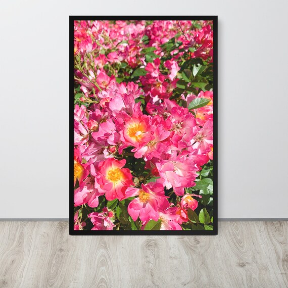 Rose in Summer Garden Instant Download Photo Printable - Etsy