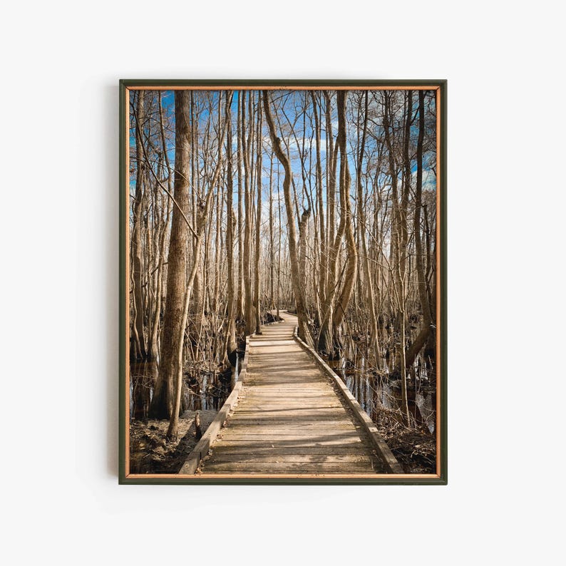 Forest Nature Printable Decor, Swamp Tree Instant Download Wall Art ...