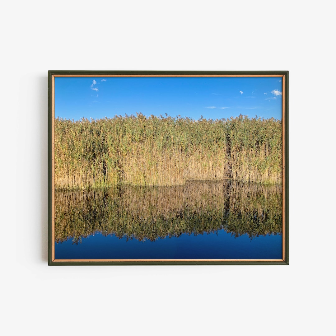 Marsh Reeds Printable Wall Art, Coastal Wetlands Download, Calm Water ...