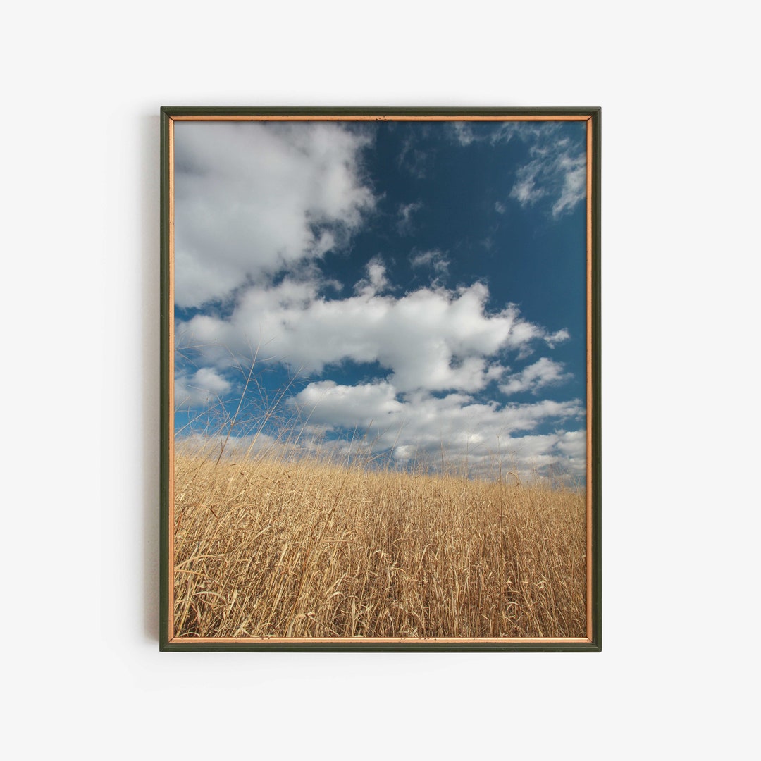 Golden Prairie Landscape Print, Blue Sky Clouds Wall Art, Rustic Nature ...
