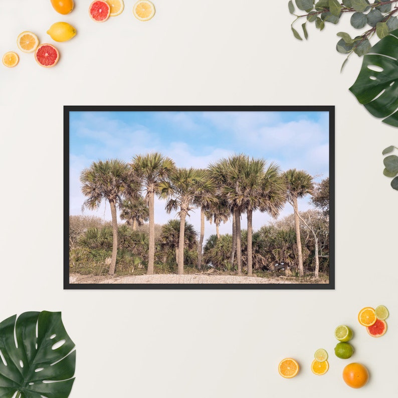 Palmetto Palm Trees Printable Posters and Prints Tropical - Etsy