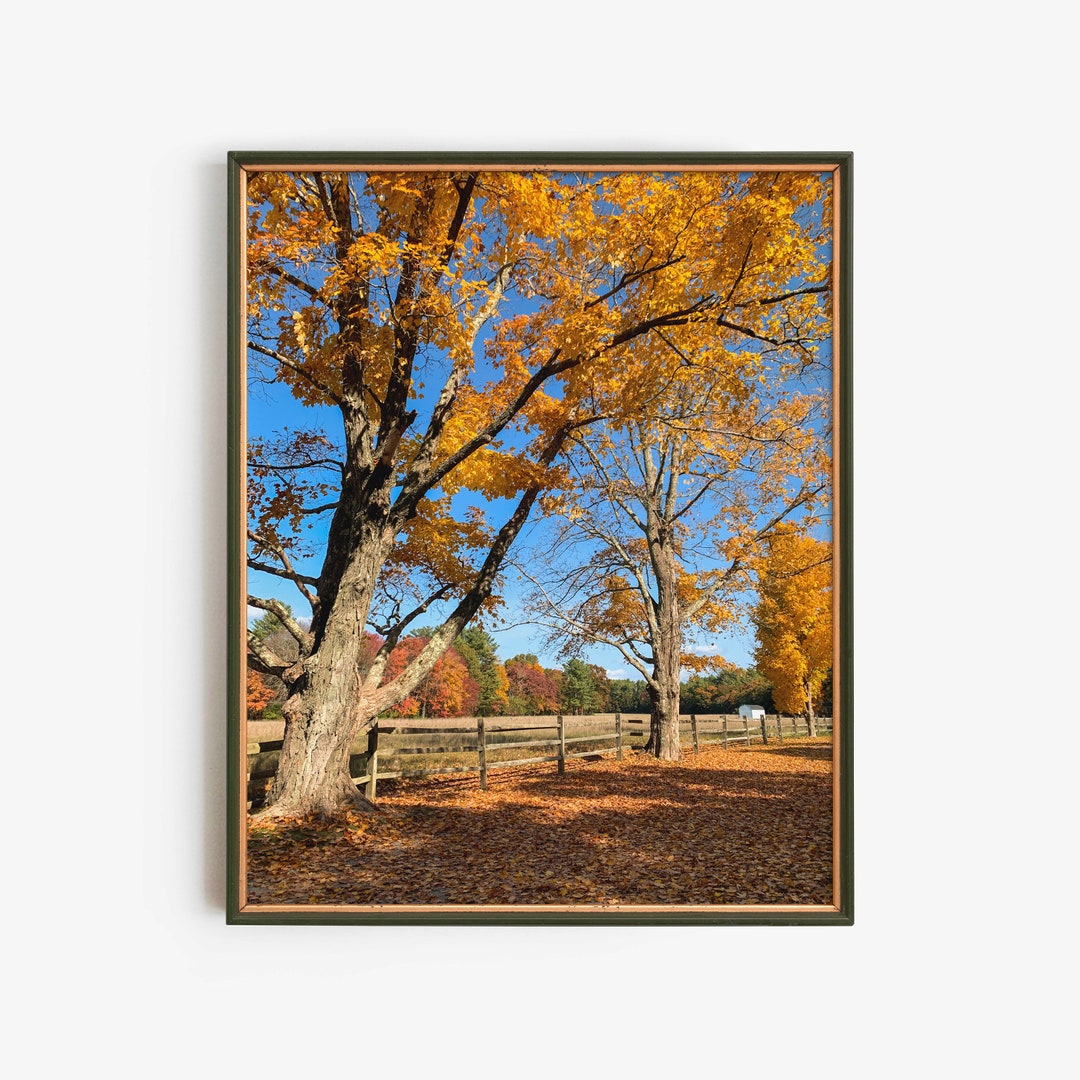 Golden Autumn Trees Digital Download, Printable Fall Farm Scene, Rustic ...