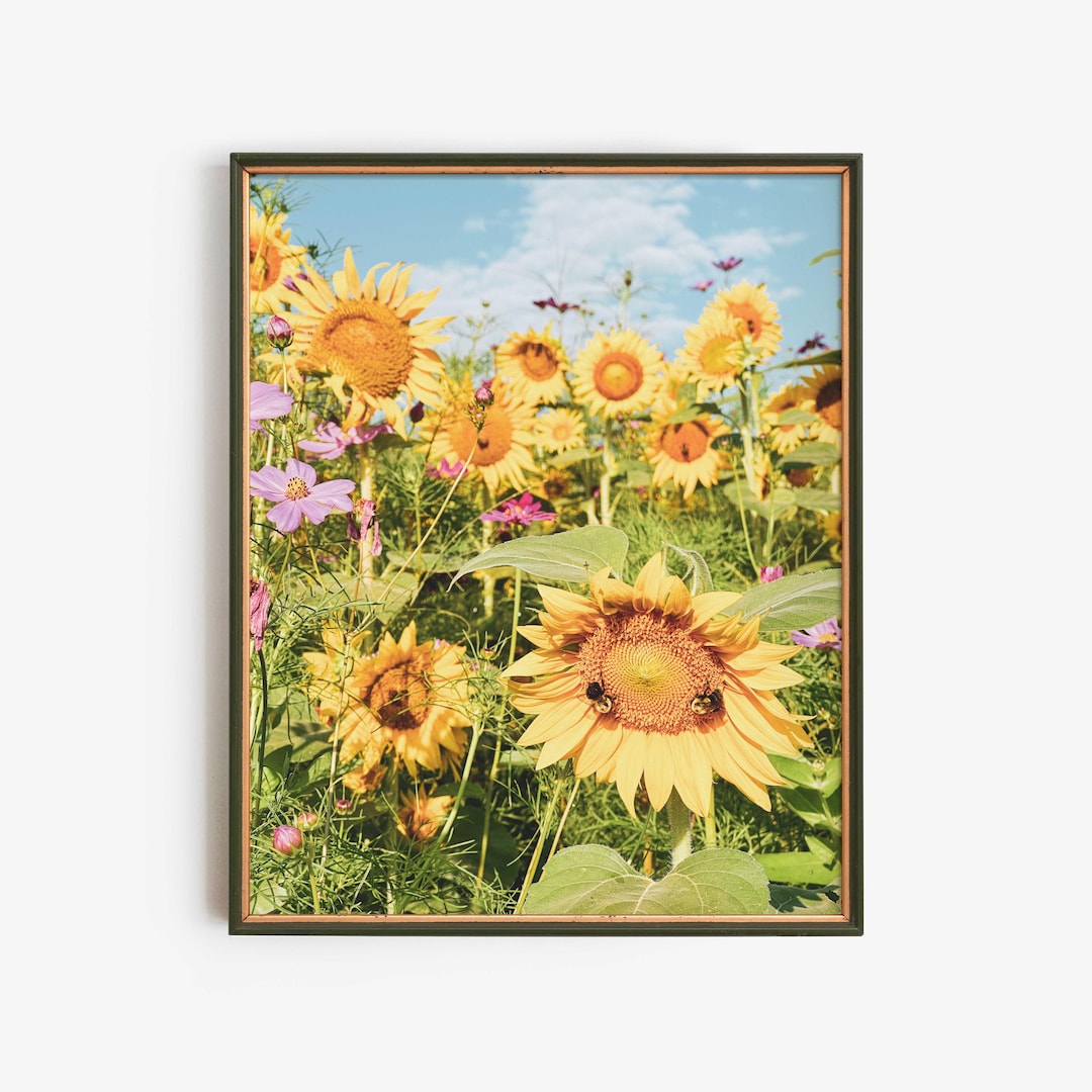 Sunflower Poster for Nature Lover Gift, Instant Download Prints, Summer ...