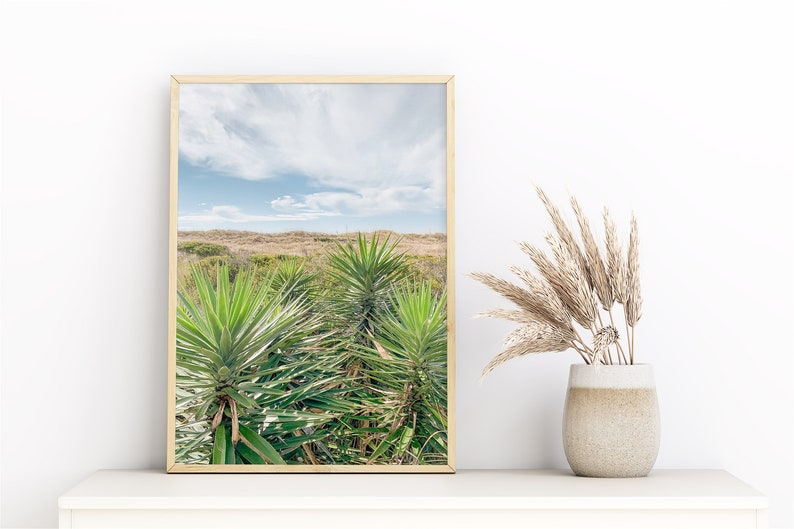 Yucca Plant Digital Print, Coastal Home Decor Printable Wall Artwork - Etsy