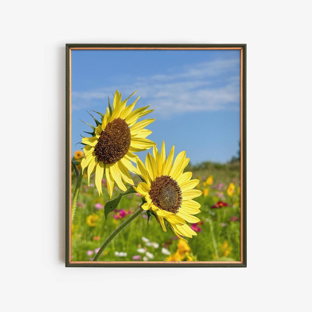Sunflower Botanical Printable Wall Art, Floral Decor for Living Room or ...