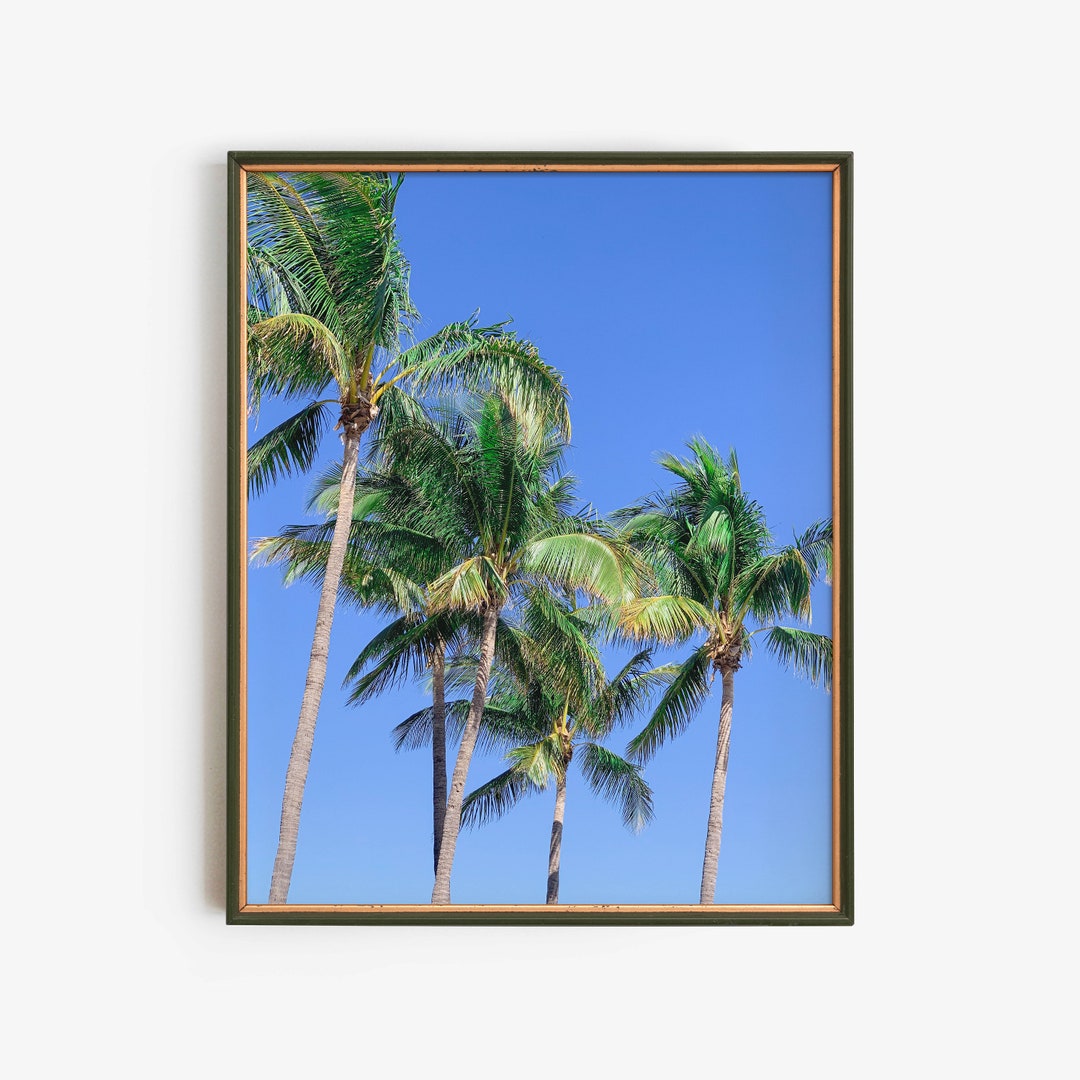 Palm Tree Printable Nature Photography, Tropical Home Decor Instant ...
