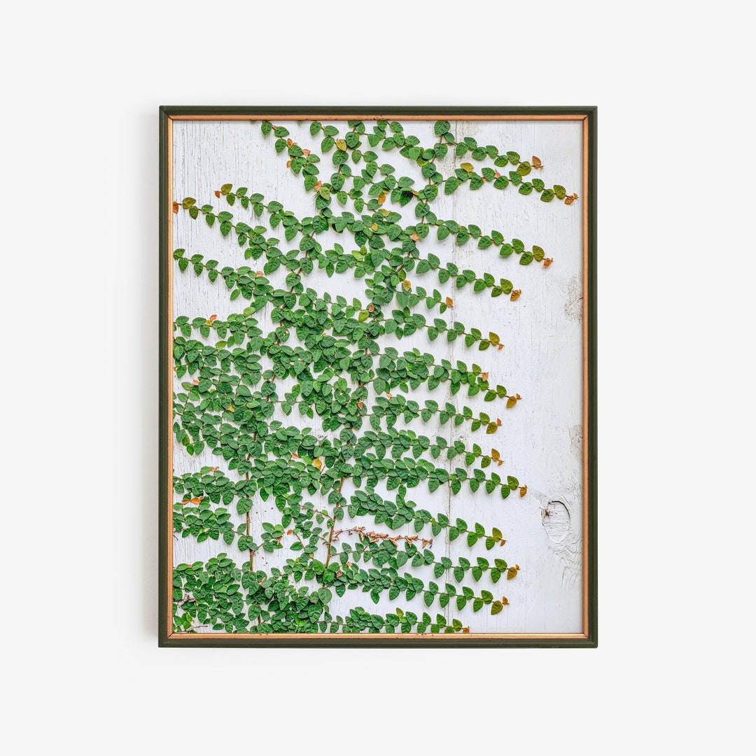 Cottagecore Leaf Print Poster, Plant Lover Gift Home Decor, Botanical ...