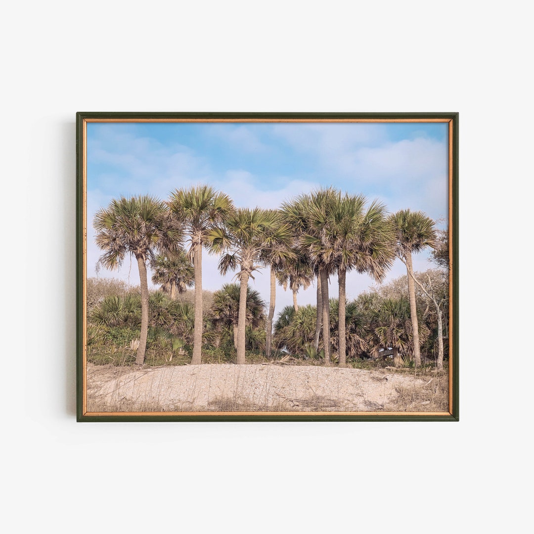 Palmetto Palm Trees Printable Posters and Prints, Tropical Beach ...