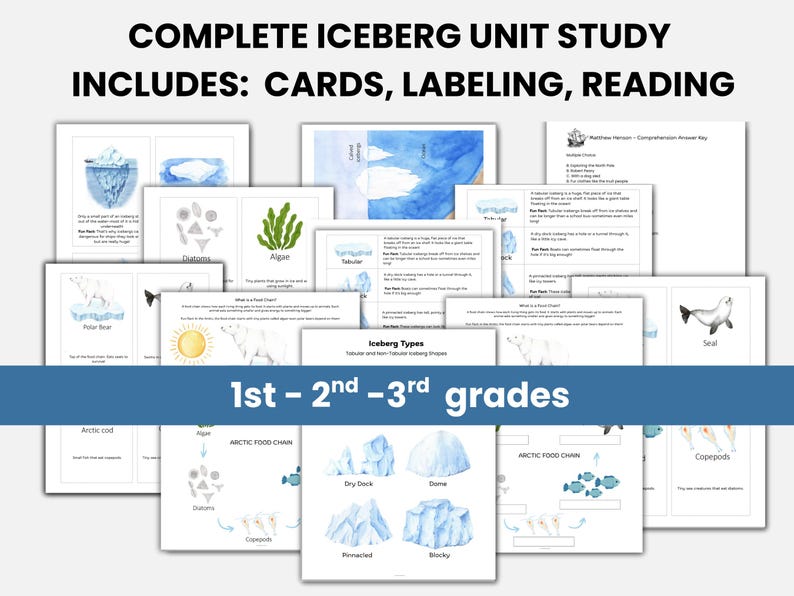 Iceberg Unit Study, Arctic Food Chain Worksheets, Polar Science for ...