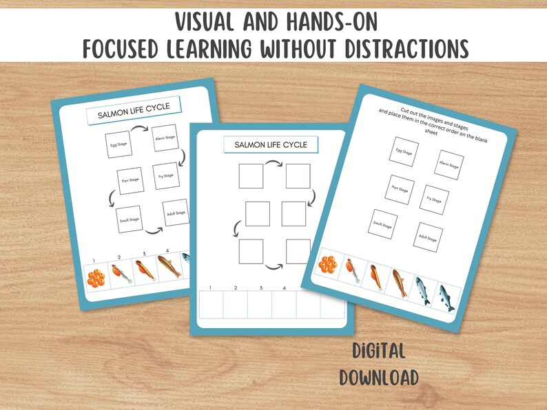 Salmon Life Cycle Printable, Ocean Animal Science Worksheet, Fish Life ...