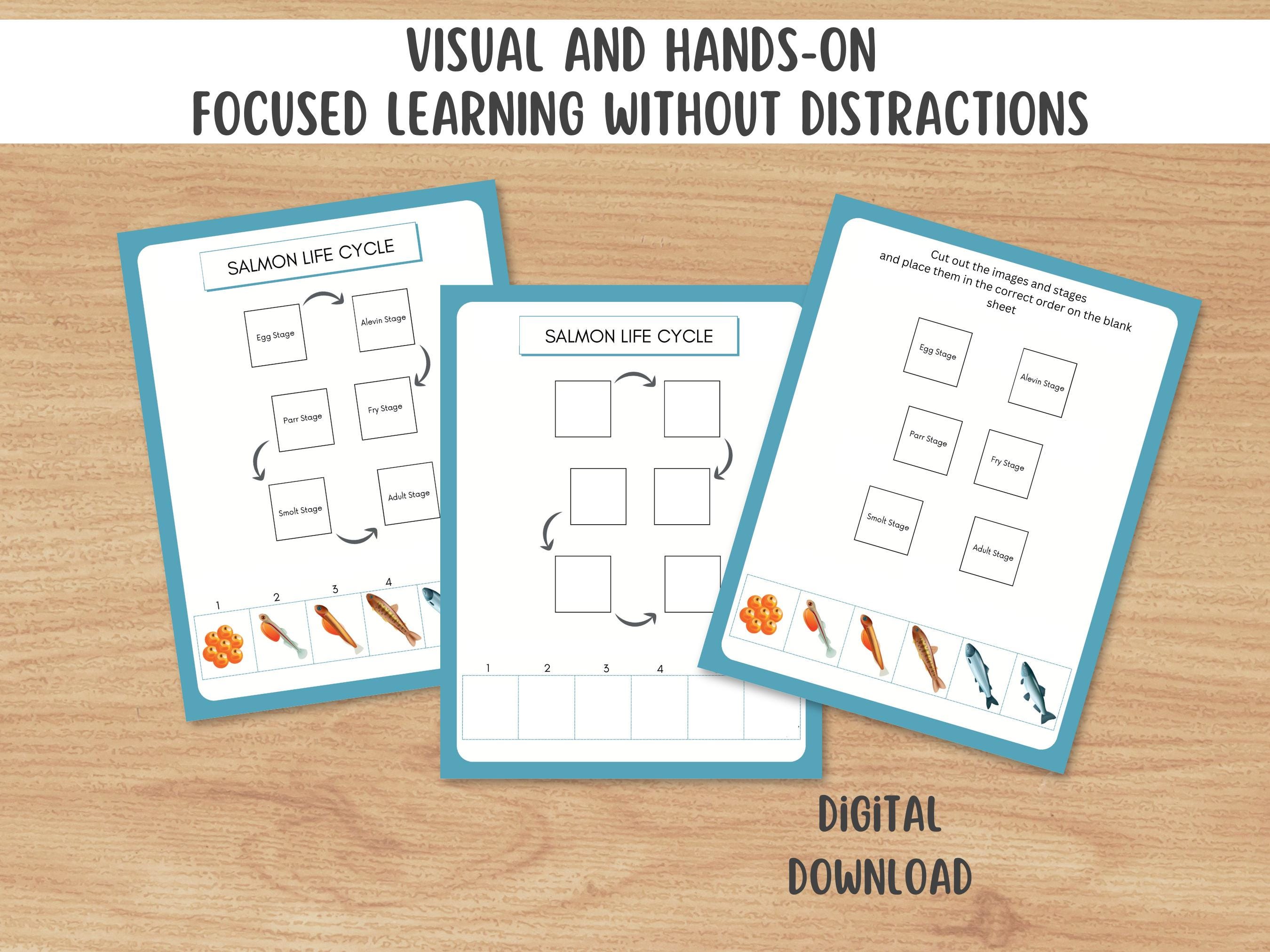 Salmon Life Cycle Printable, Ocean Animal Science Worksheet, Fish Life ...