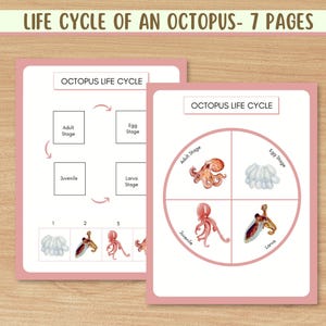 Octopus Life Cycle Printable, Ocean Animal Science Worksheet ...