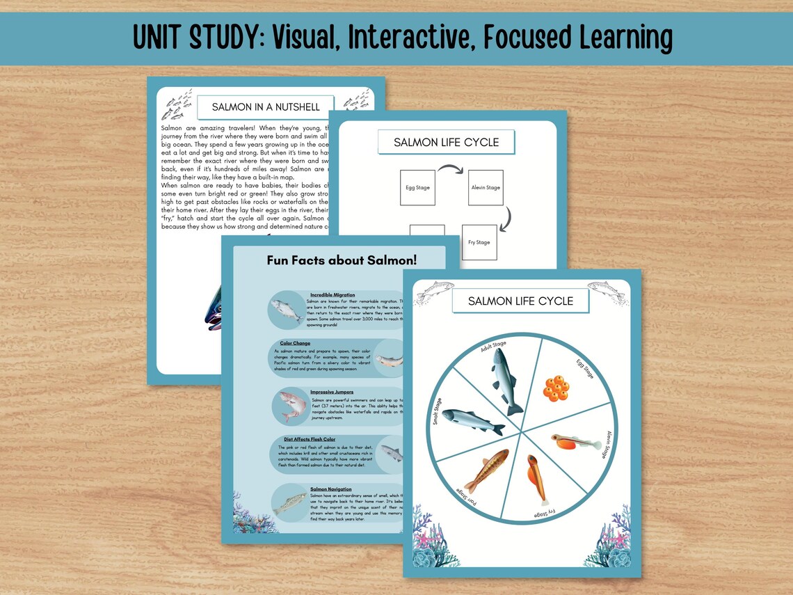 Salmon Life Cycle Printable, Ocean Animal Science Worksheet, Fish Life ...