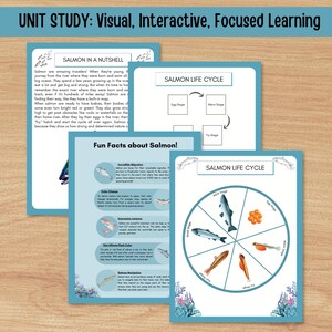 Salmon Life Cycle Printable, Ocean Animal Science Worksheet, Fish Life ...