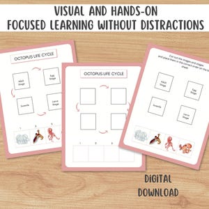 Octopus Life Cycle Printable, Ocean Animal Science Worksheet ...