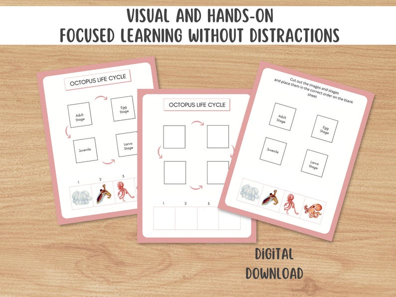 Octopus Life Cycle Printable, Ocean Animal Science Worksheet ...