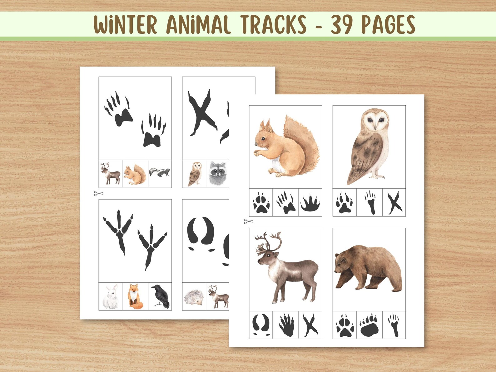 Winter Animal Tracks, Footprint Matching Game, Nature Study Worksheets ...