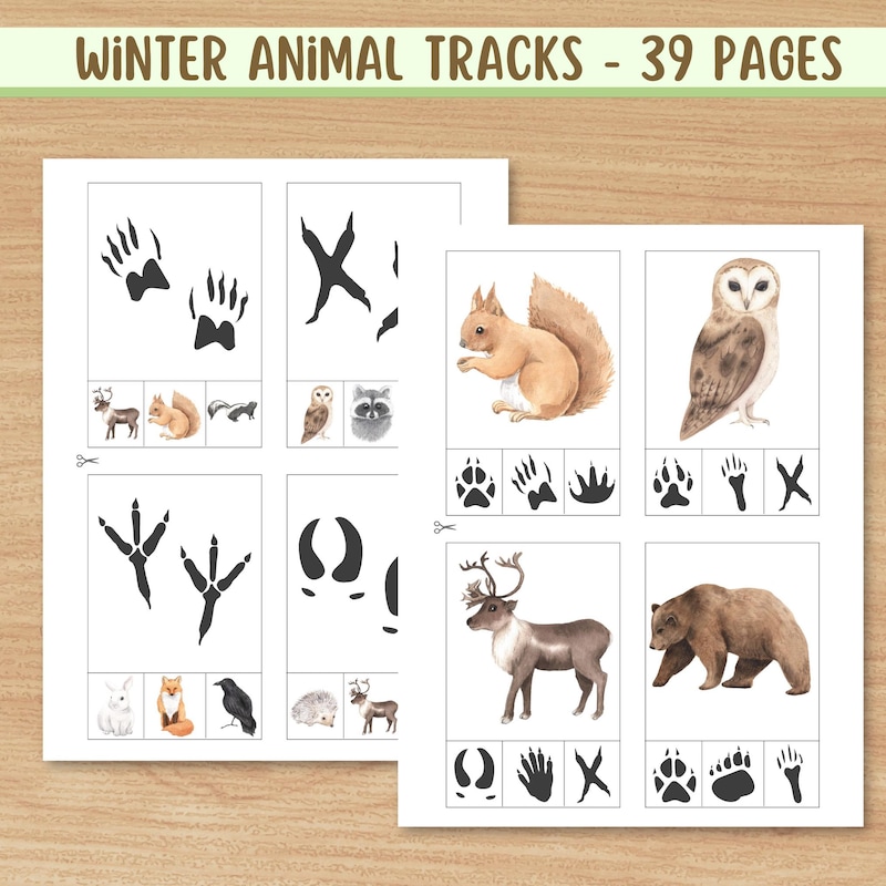 Animal Tracks - Etsy