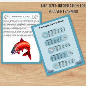 Salmon Life Cycle Printable, Ocean Animal Science Worksheet, Fish Life ...