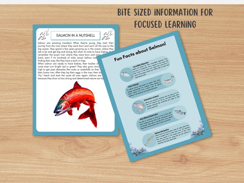 Salmon Life Cycle Printable, Ocean Animal Science Worksheet, Fish Life ...